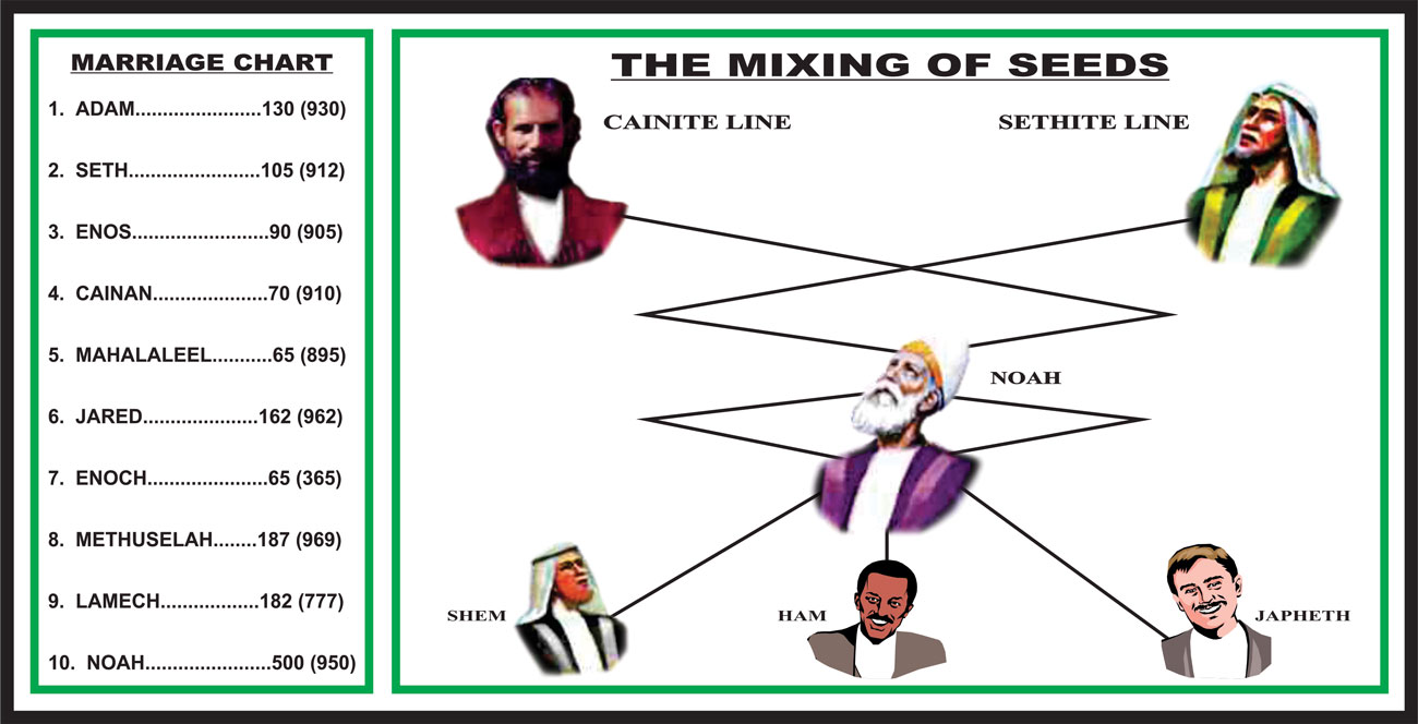 Bible Faith Tabernacle